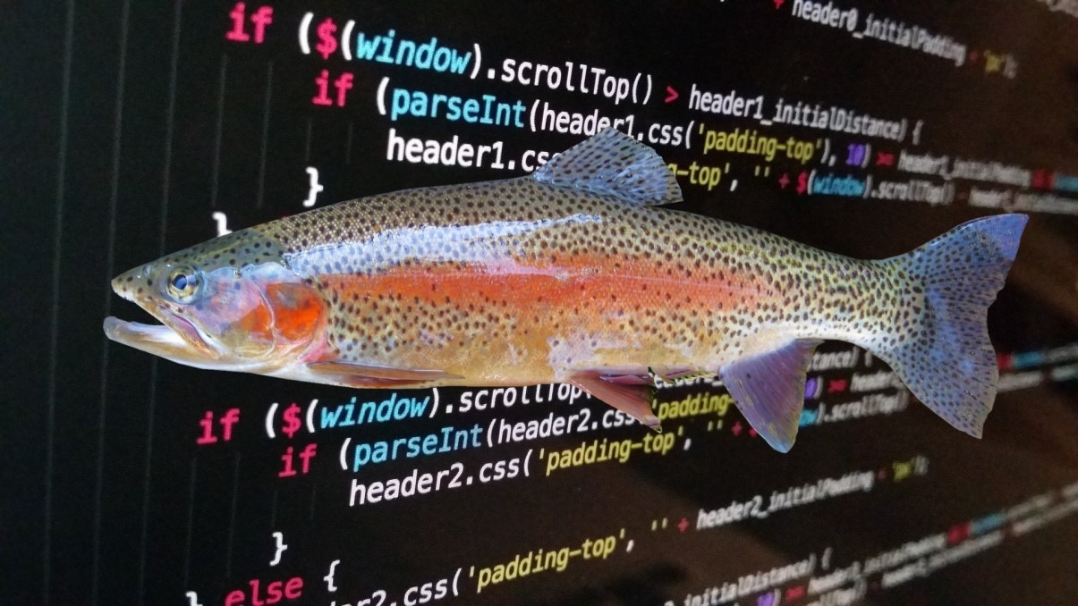 How to Create a Fishing Data Log for More Success - Thrillfishing.com