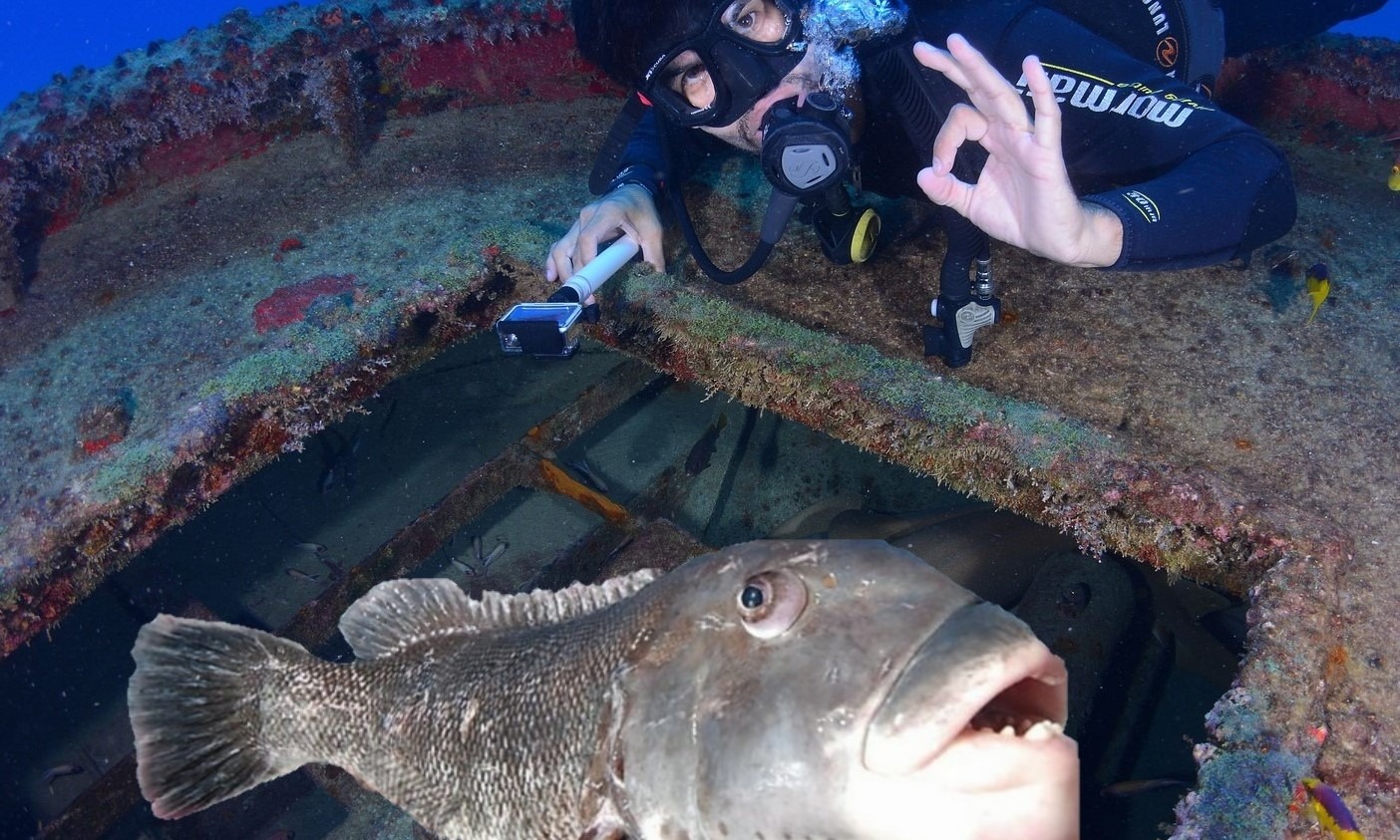 Scuba Diving for the Best Fishing Spots - Thrillfishing.com