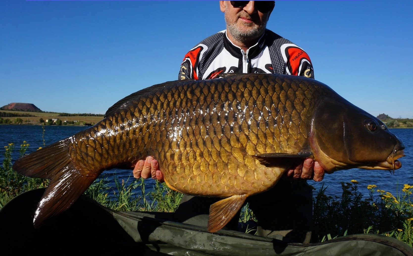 Top Reasons You’re Not Catching Fish (And How to Fix Them ...